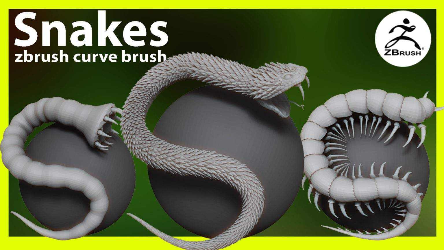 Zbrush笔刷 - 3Dyyds